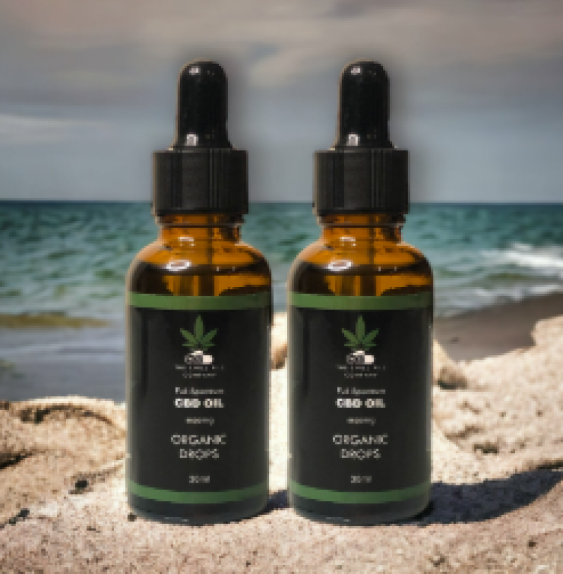 Common Types of Developmental Disorders and Their Symptoms